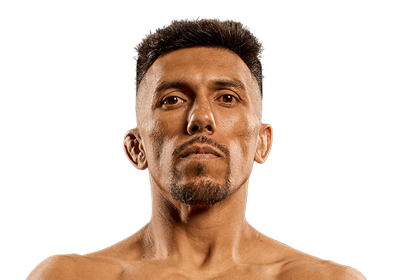 Fighters | UNF — The Future of the Fight Game